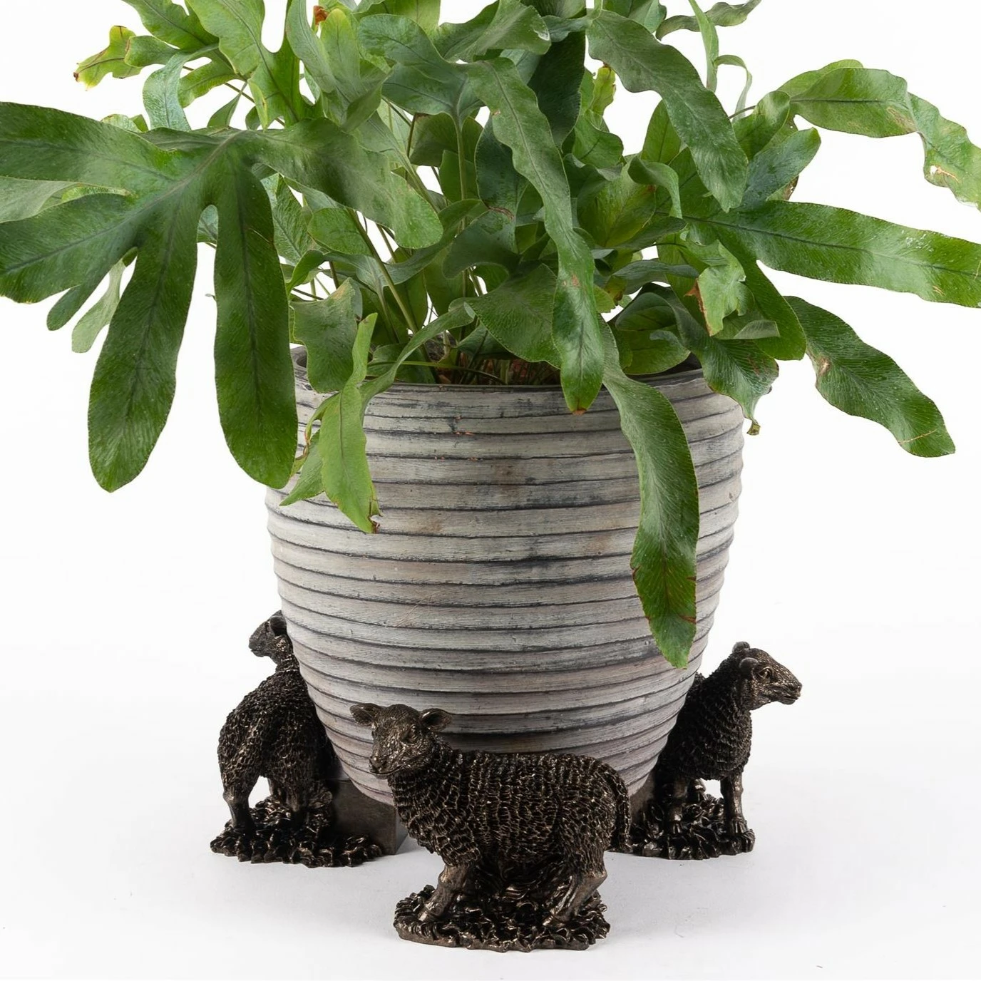 Sheep Pot Feet - Cowell's Garden Centre | Woolsington