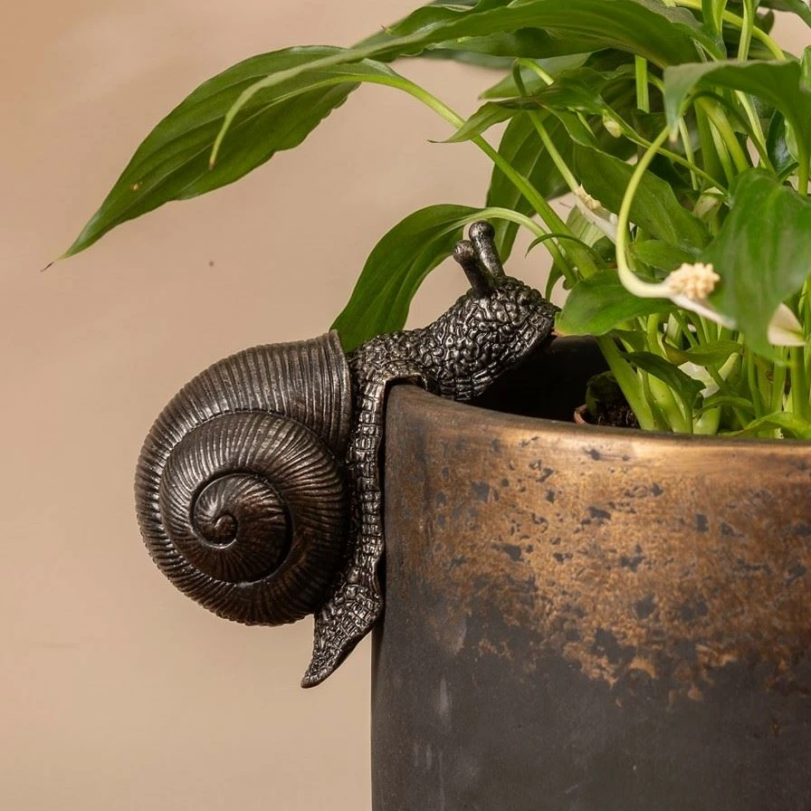 Snail Pot Buddy - Cowell's Garden Centre | Woolsington