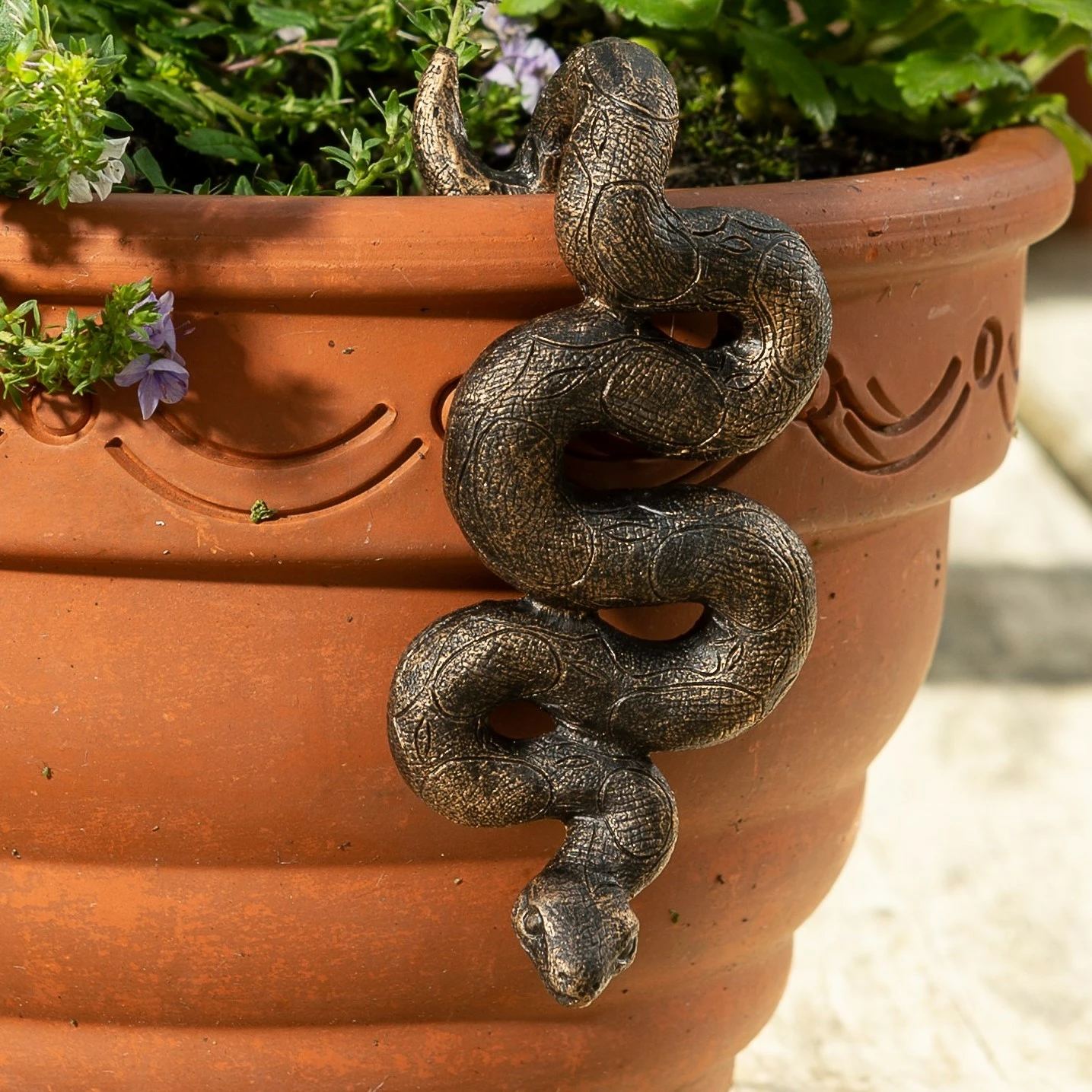 Snake Pot Buddy - Cowell's Garden Centre | Woolsington