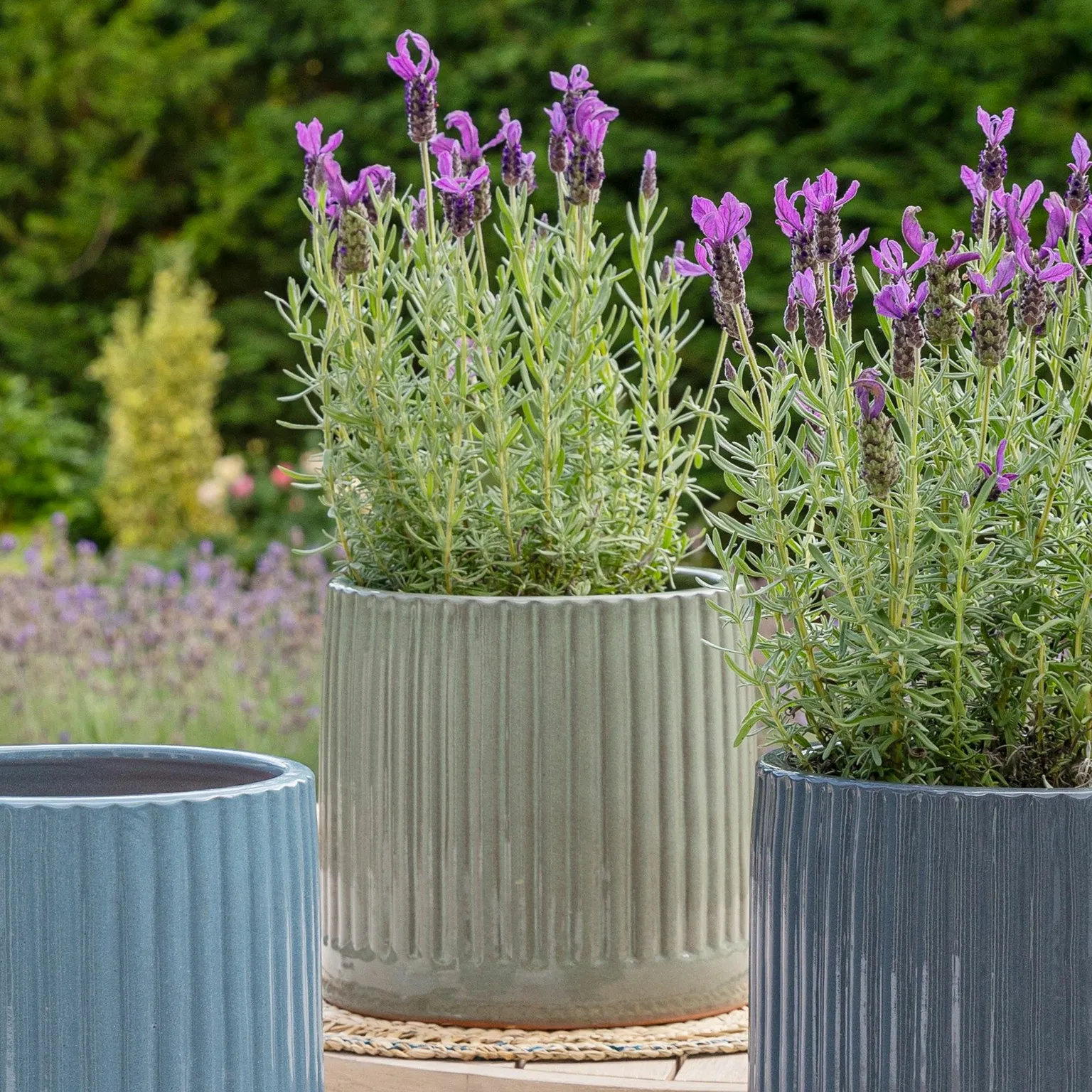 Ivyline Snowshill Sage Planter Ø31cm - Cowell's Garden Centre | Woolsington