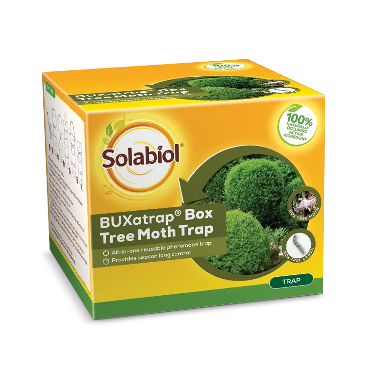 BUXatrap Box Moth Trap - Cowell's Garden Centre | Woolsington