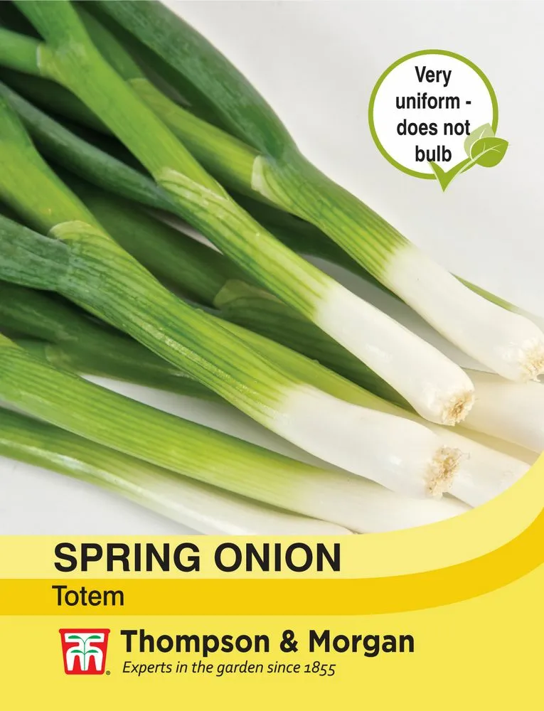 Spring Onion Totem - Cowell's Garden Centre | Woolsington