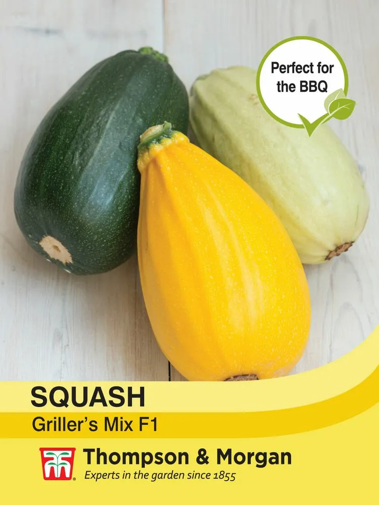 Squash (Summer) Grillers Mix - Cowell's Garden Centre | Woolsington