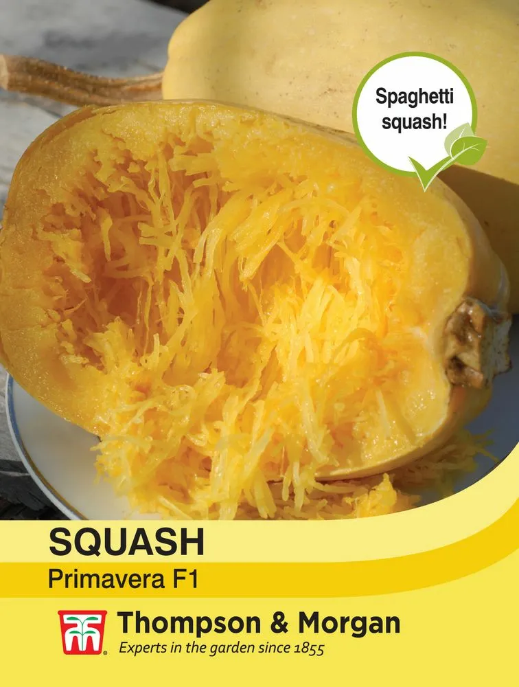 Squash (Summer) Primavera F1 Seeds - Cowell's Garden Centre | Woolsington