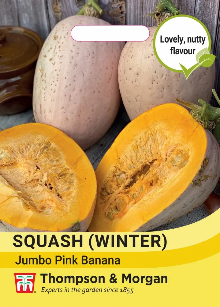 Squash (Winter) Jumbo Pink Banana Seeds - Cowell's Garden Centre ...