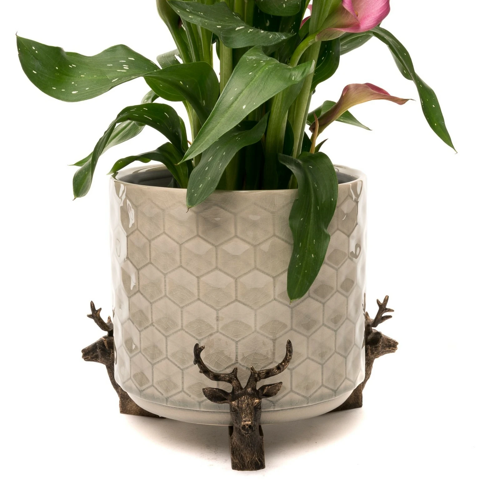 Stag Pot Feet - Cowell's Garden Centre | Woolsington