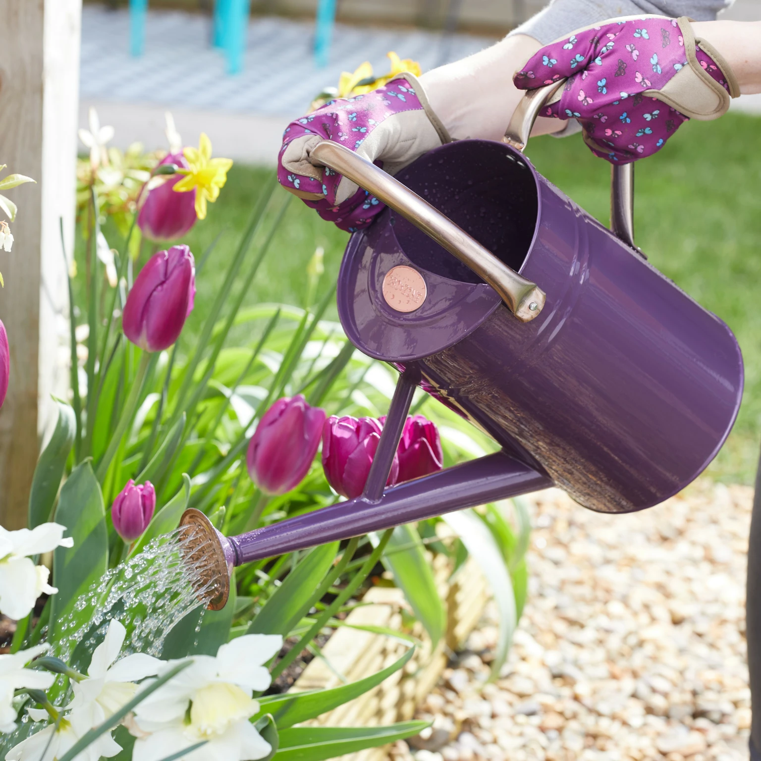 Steel Large Watering Can - Violet - Cowell's Garden Centre | Woolsington