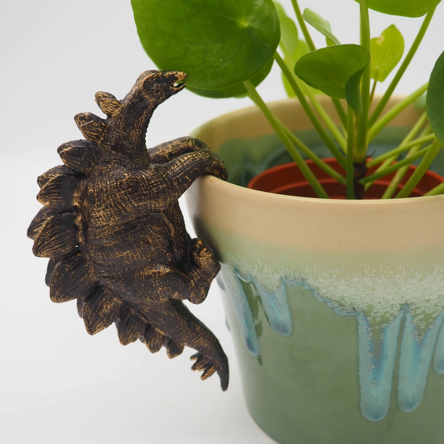 Stegosaurus Pot Buddy - Cowell's Garden Centre | Woolsington