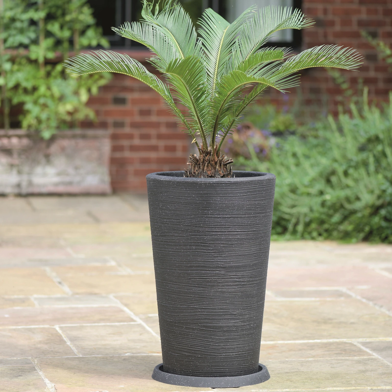Stewart Varese Medium Planter - Dark Brown - Cowell's Garden Centre ...