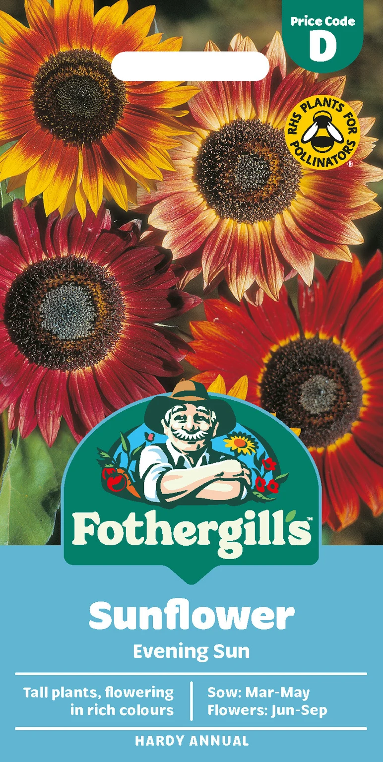 Sunflower Evening Sun Seeds - Cowell's Garden Centre | Woolsington