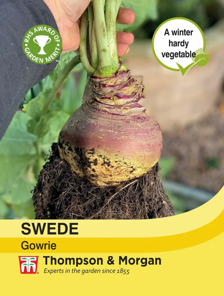 Swede Gowrie Seeds - Cowell's Garden Centre | Woolsington