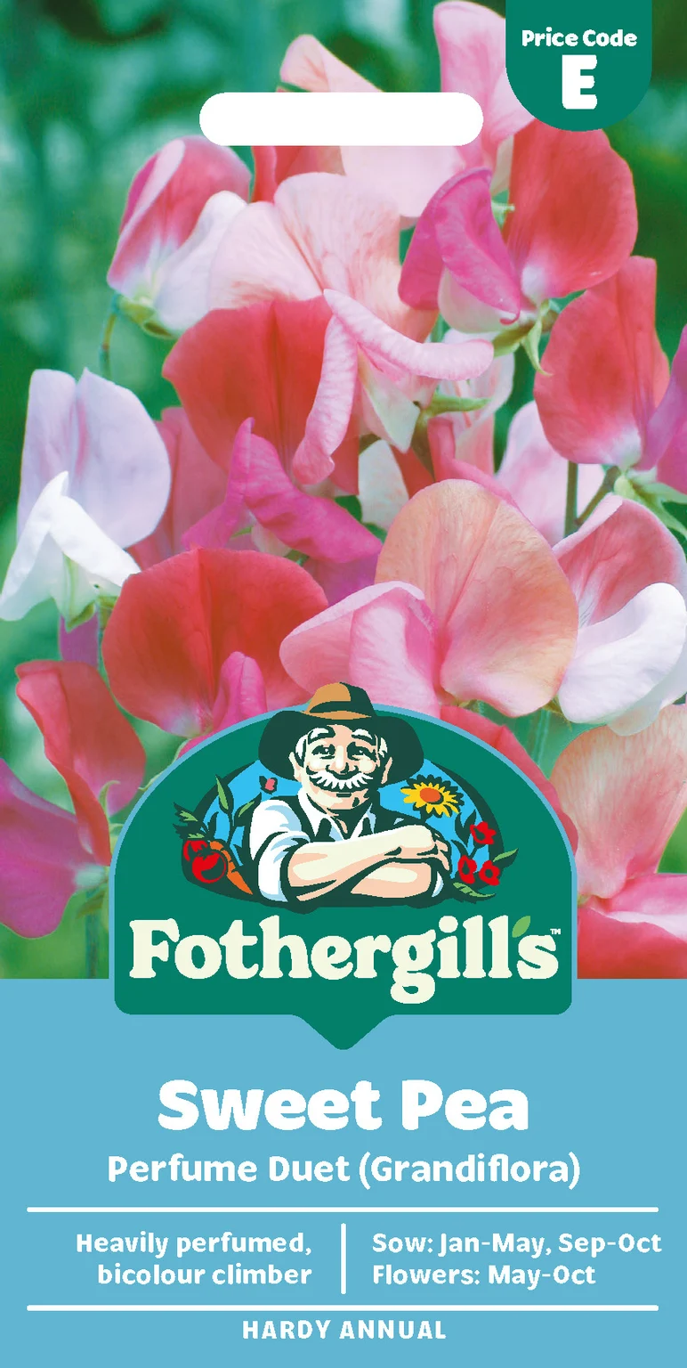 Sweet Pea Perfume Duet (Grandiflora) Seeds - Cowell's Garden Centre ...