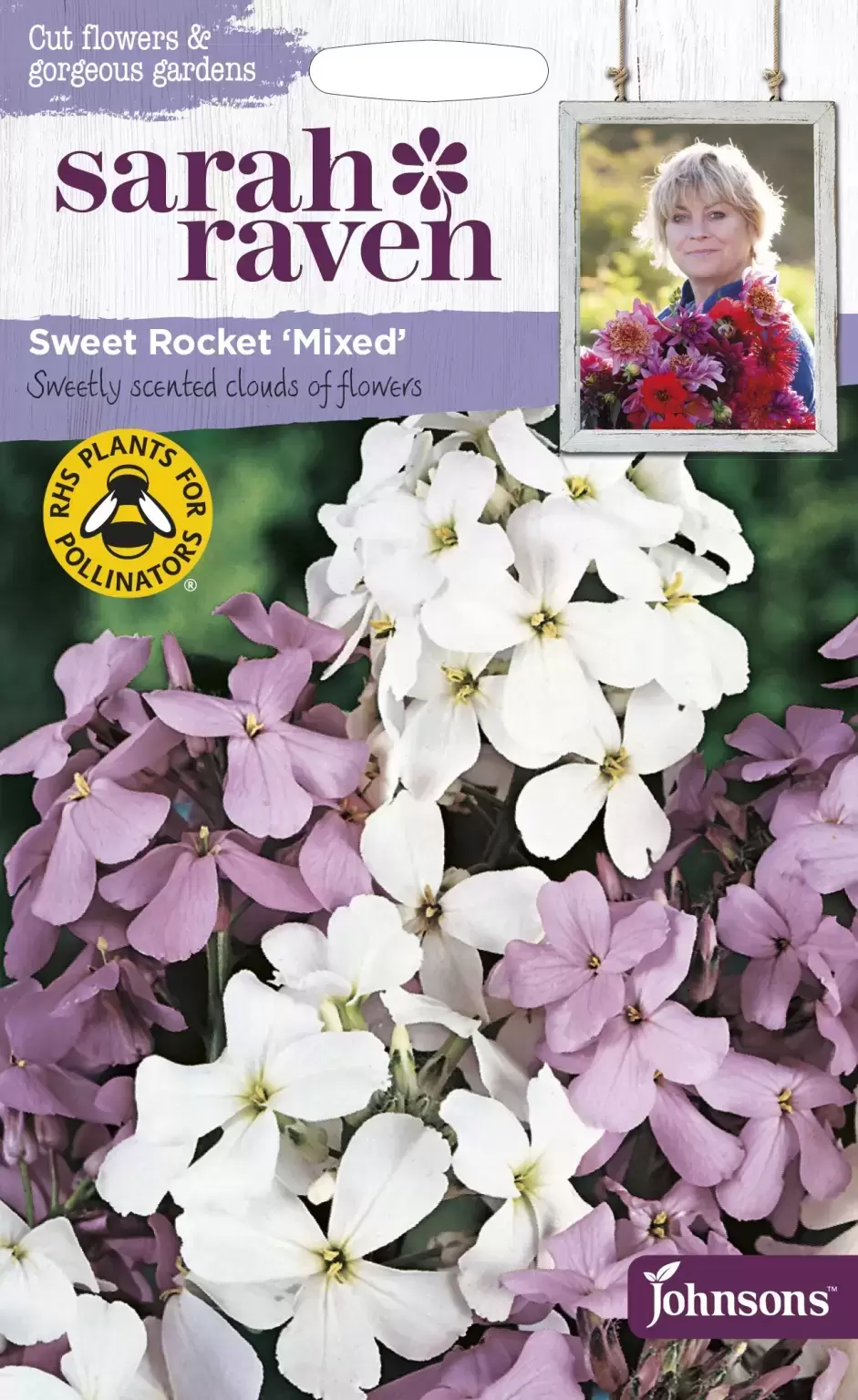 Sweet Rocket Mix - Cowell's Garden Centre | Woolsington