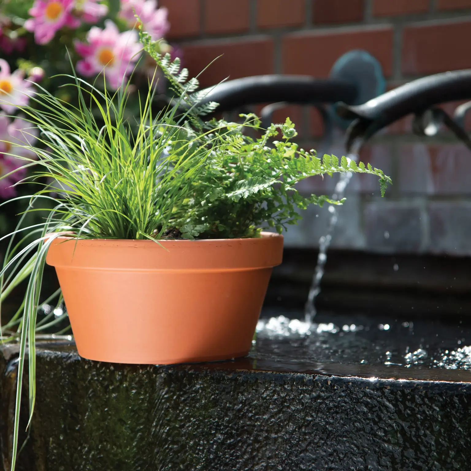 Terracotta Half Pot Ø13cm - Cowell's Garden Centre | Woolsington