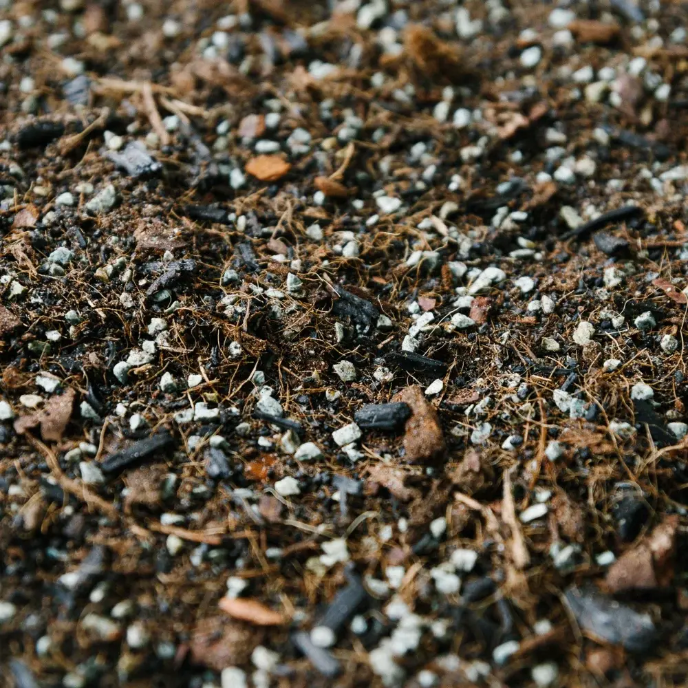 Soil Ninja Terrarium Soil Mix Blend 2.5L - Cowell's Garden Centre ...