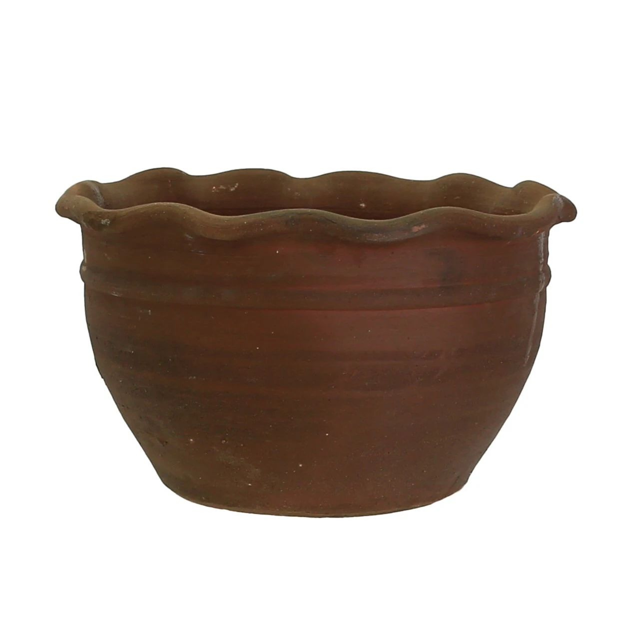 Thyme Pie Crust Pot Ø22cm - Cowell's Garden Centre | Woolsington