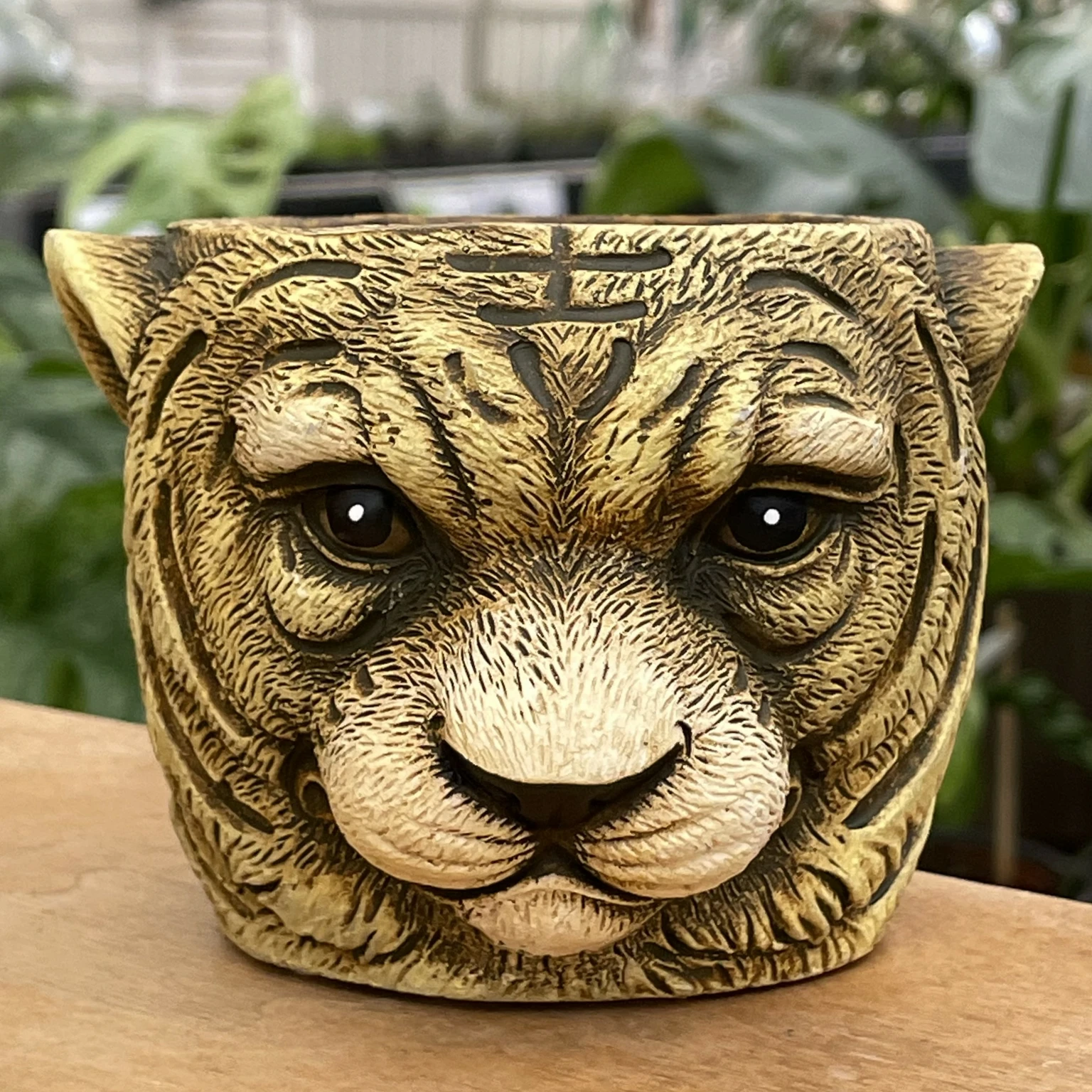 Tiger Pot - ⌀ 6cm - Cowell's Garden Centre | Woolsington