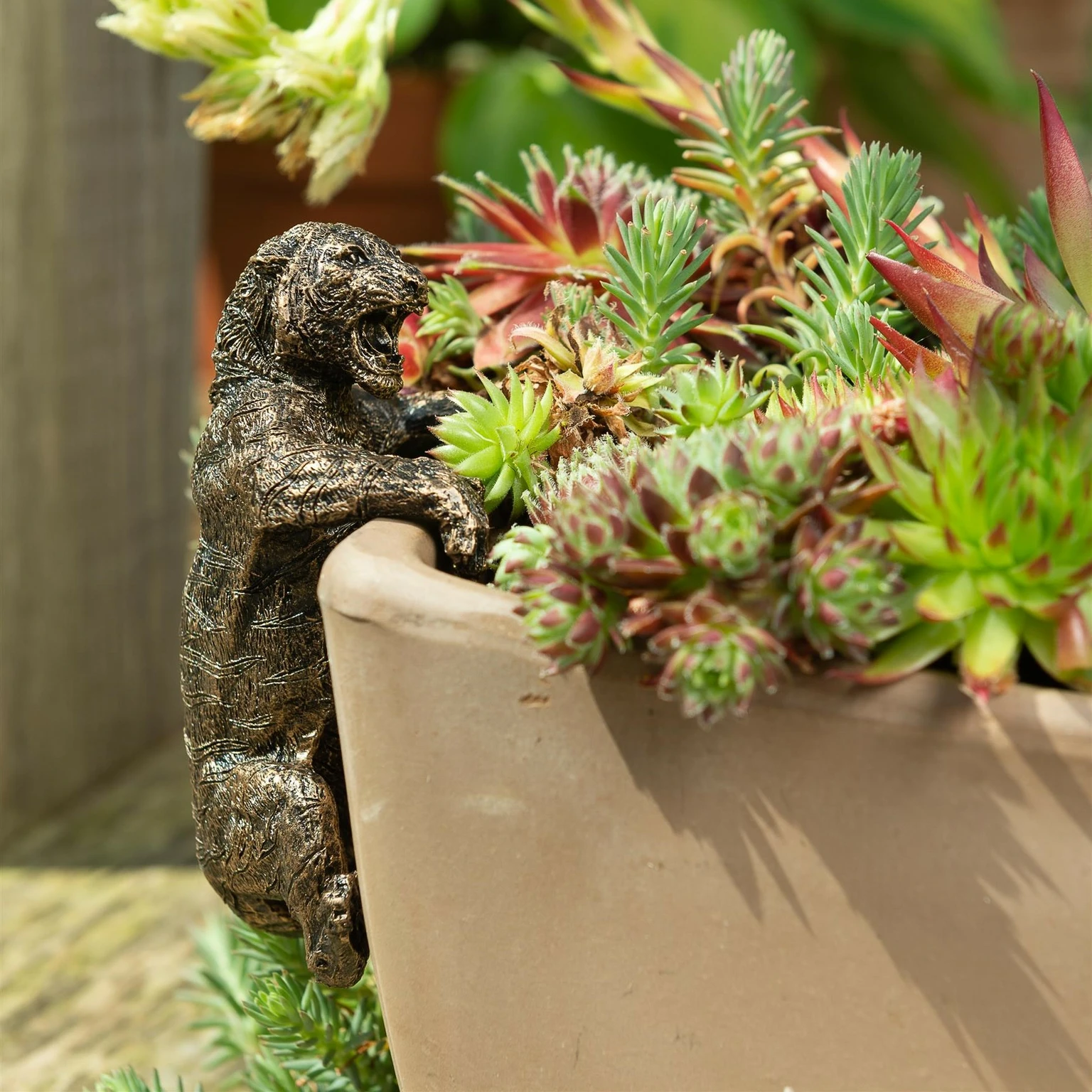 Tiger Pot Buddy - Cowell's Garden Centre | Woolsington