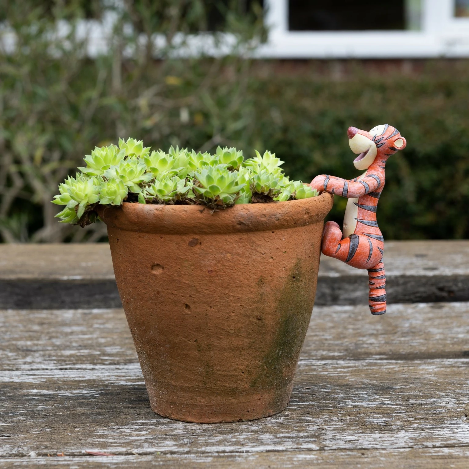 Tigger Bouncing Pot Buddy - Cowell's Garden Centre | Woolsington