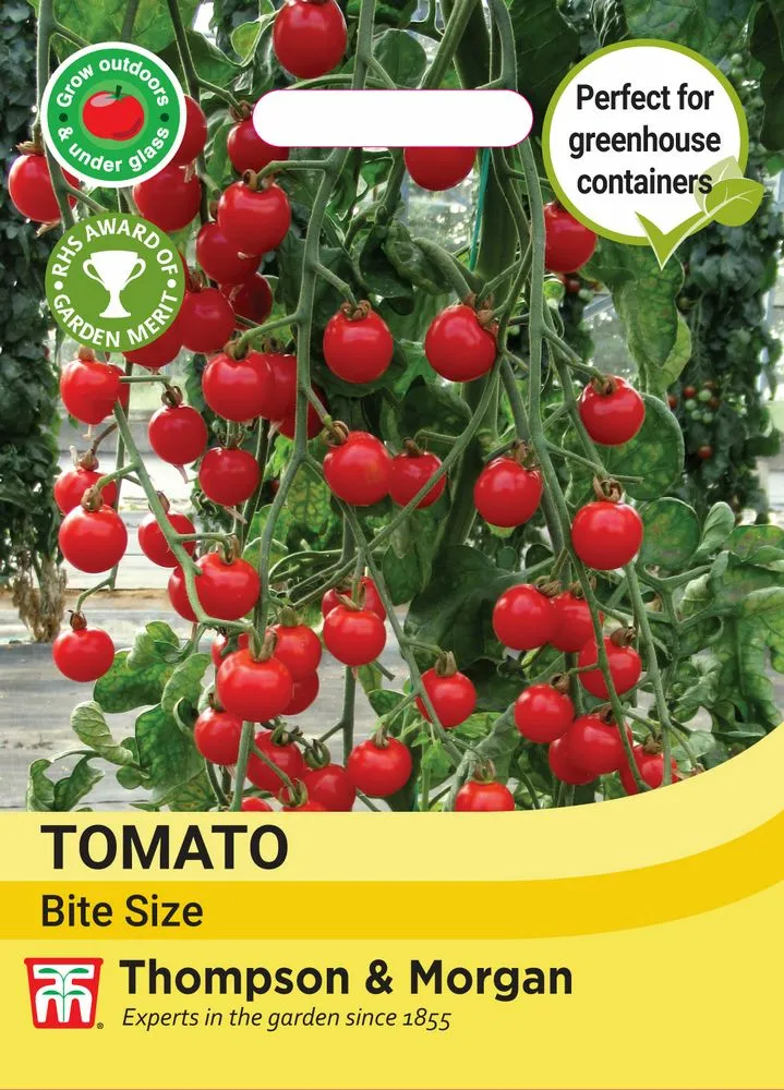 Tomato Bite Size - Cowell's Garden Centre | Woolsington