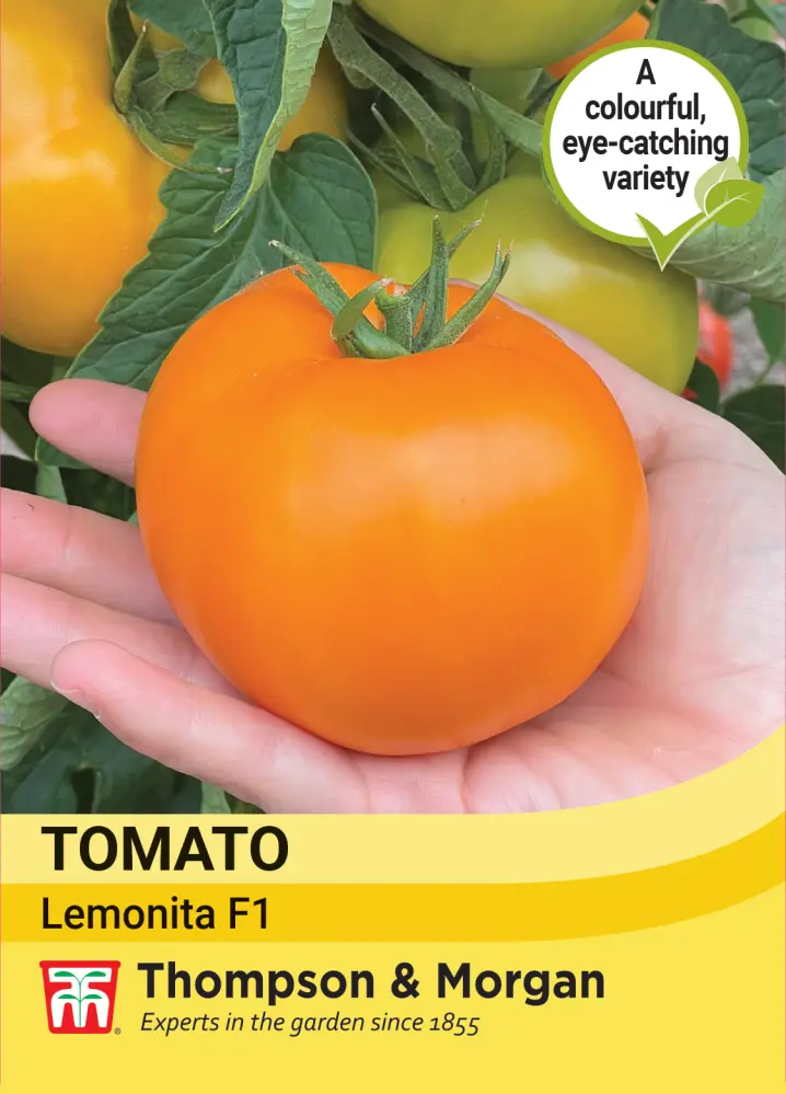 Tomato Lemonita F1 Seeds - Cowell's Garden Centre | Woolsington