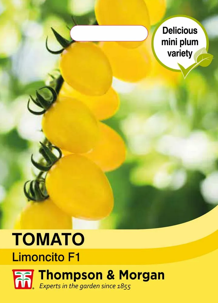 Tomato Limoncito F1 - Cowell's Garden Centre | Woolsington