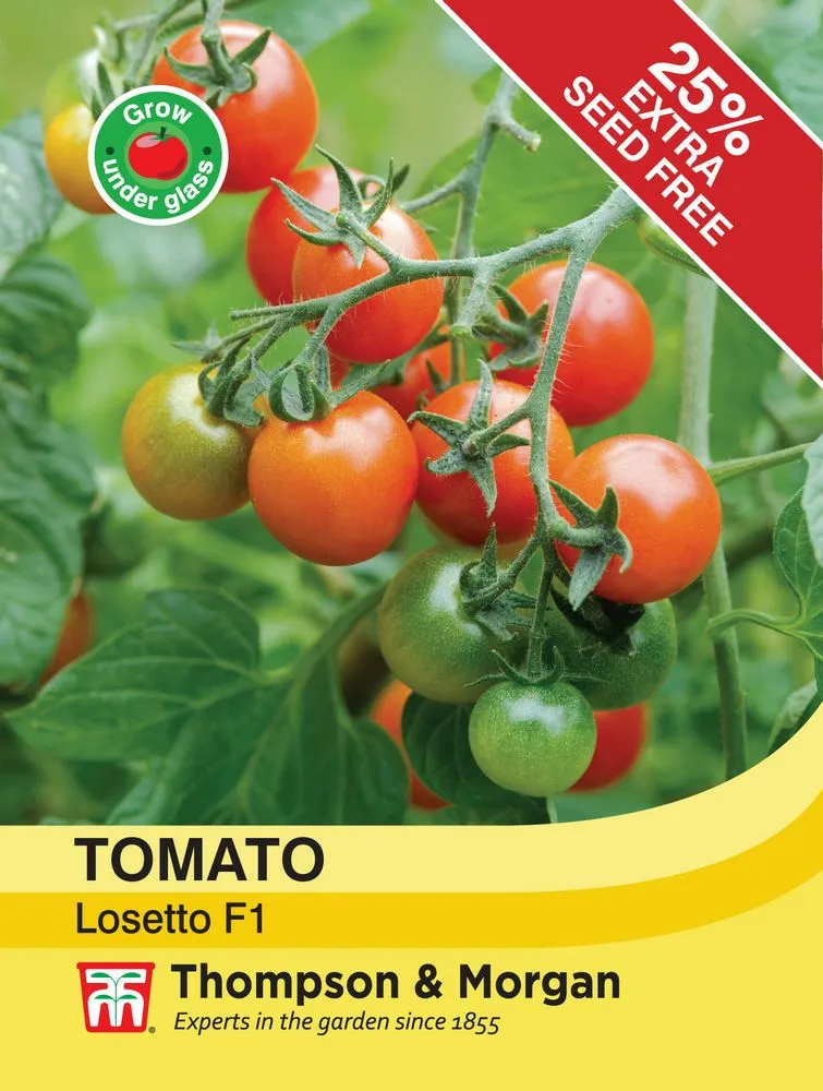 Tomato Losetto F1 - Cowell's Garden Centre | Woolsington