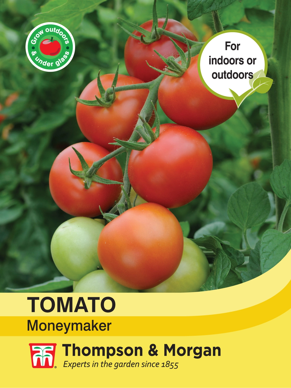 Tomato Moneymaker - Cowell's Garden Centre | Woolsington