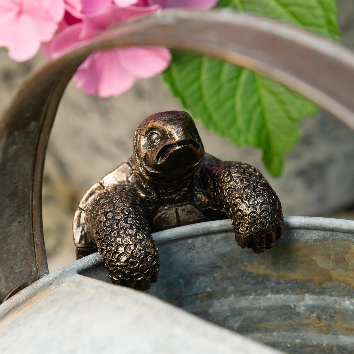 Tortoise Pot Buddy - Cowell's Garden Centre | Woolsington