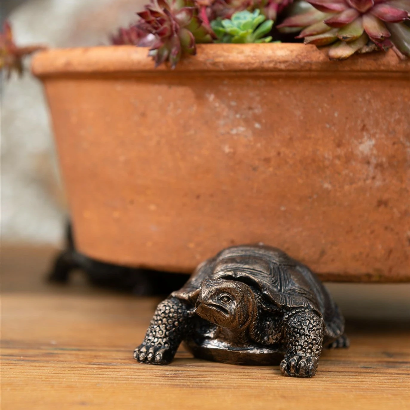 Tortoise Pot Feet - Cowell's Garden Centre | Woolsington