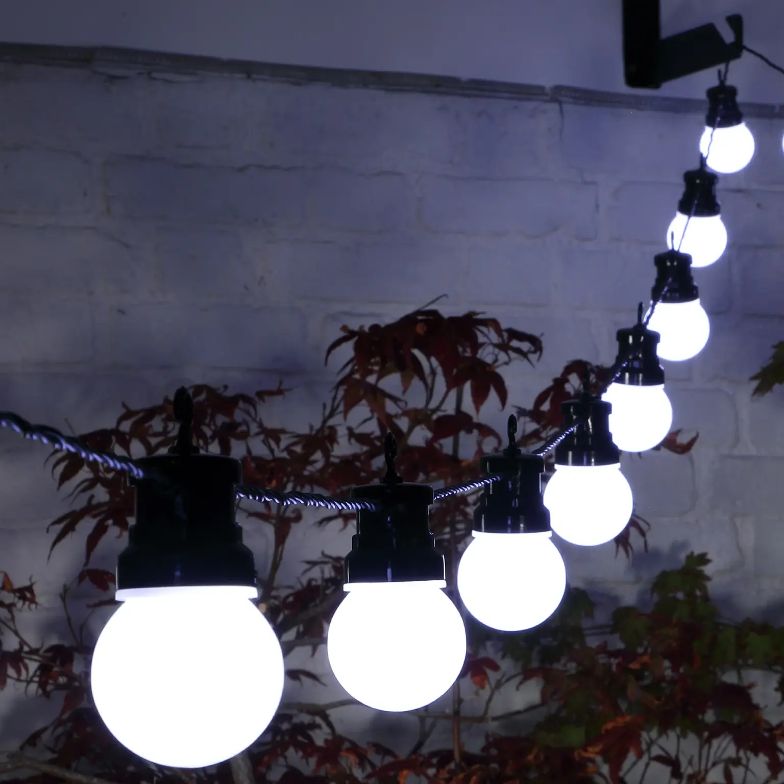 Traditional White Festoon String Lights - Cowell's Garden Centre ...