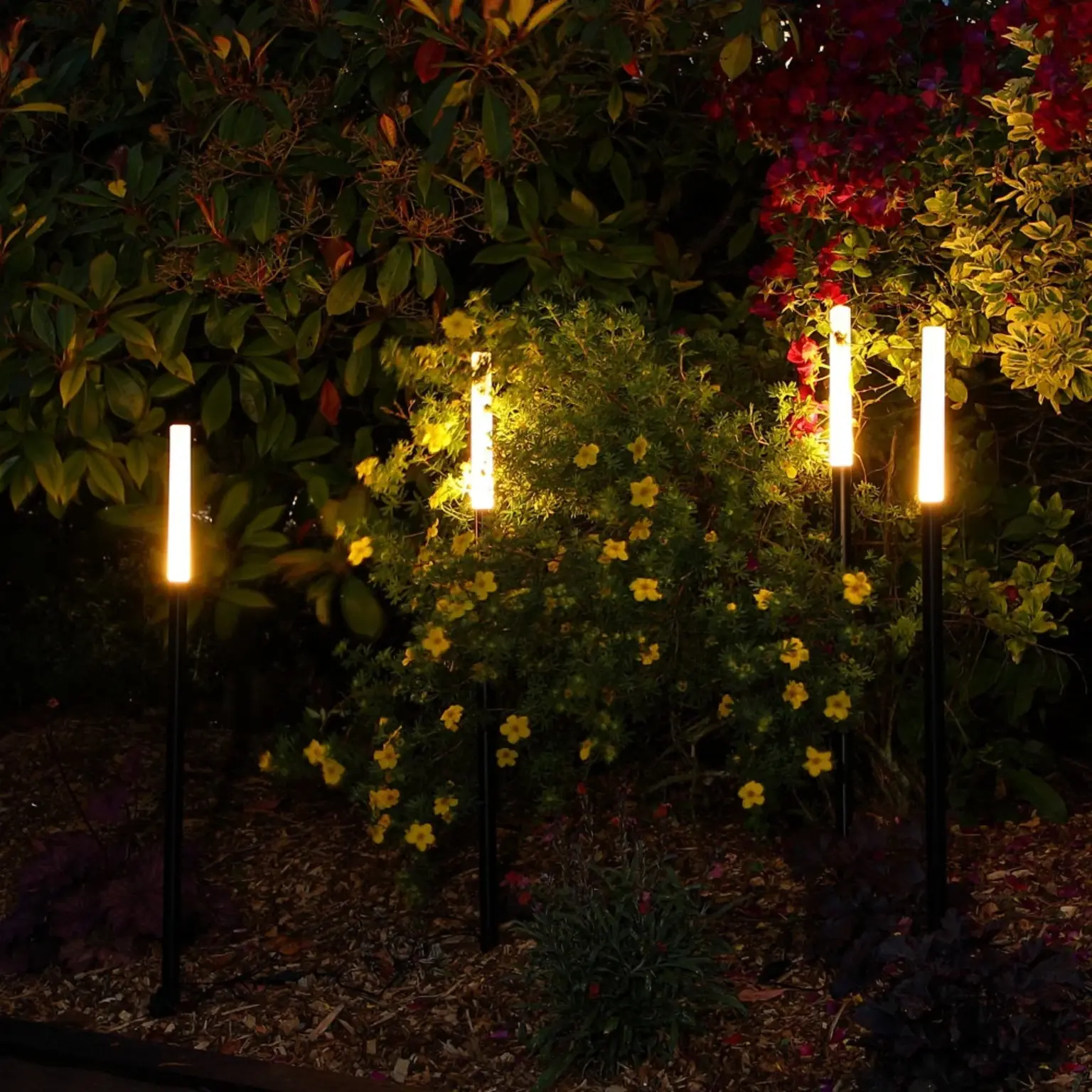 Tube Border Light Set - Cowell's Garden Centre | Woolsington