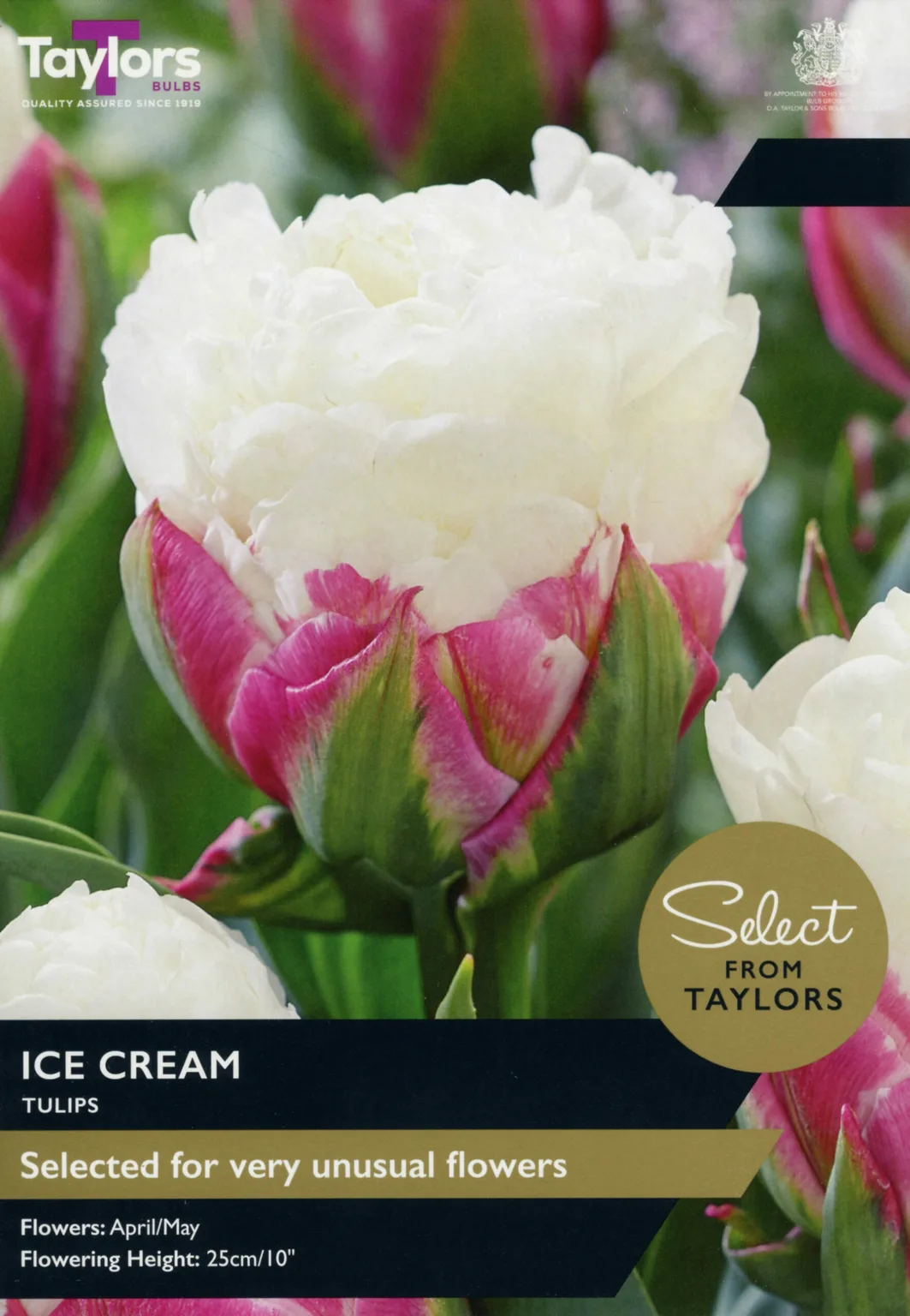 Tulip Ice Cream - Cowell's Garden Centre | Woolsington