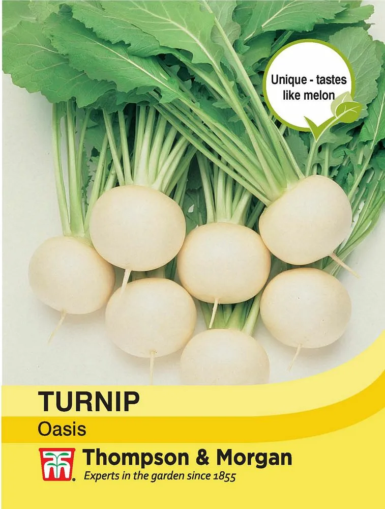 Turnip Oasis Seeds - Cowell's Garden Centre | Woolsington