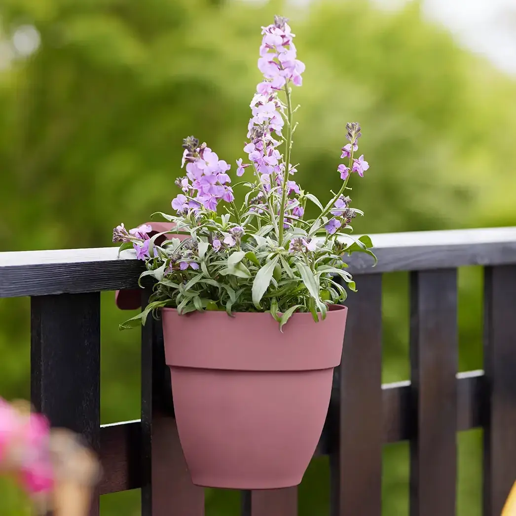 elho Vibia Campana Dusty Pink Hanging Planter - Small - Cowell's Garden ...