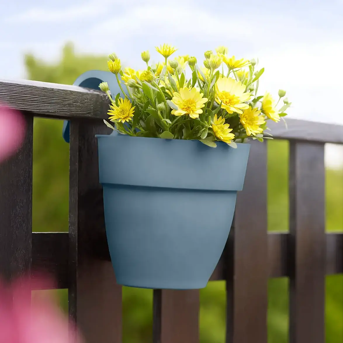 elho Vibia Campana Vintage Blue Hanging Planter - Small - Cowell's ...