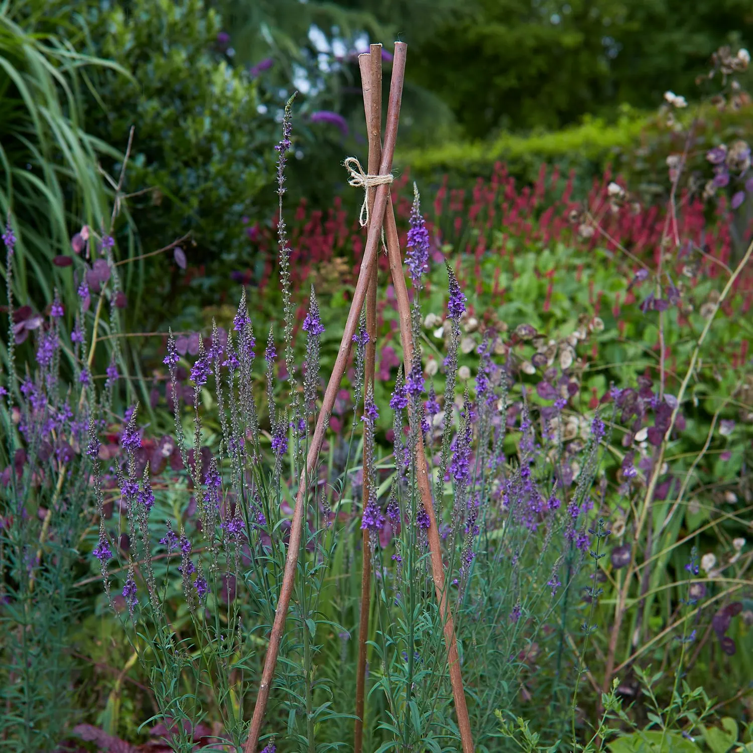 Willow Plant Stake Set 180cm - Cowell's Garden Centre | Woolsington