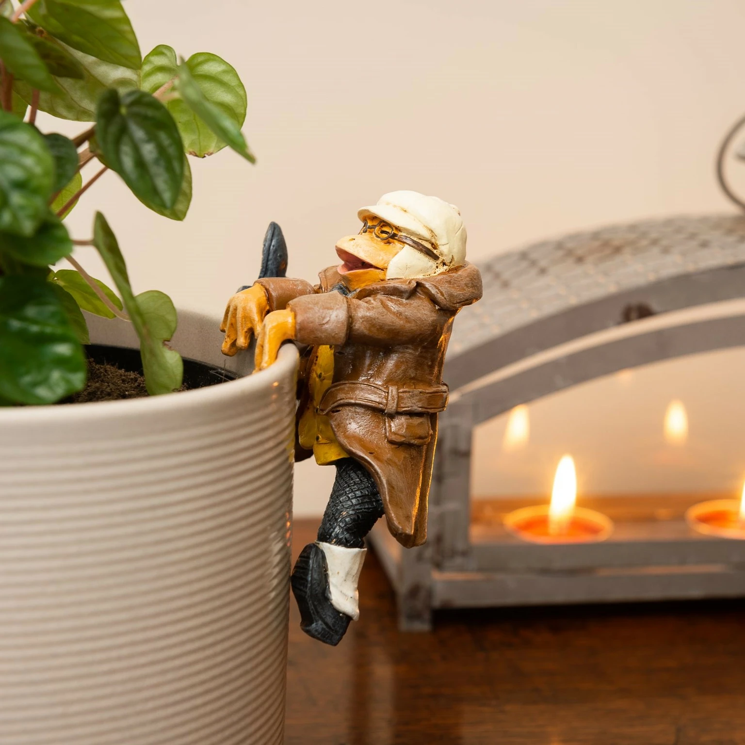 Wind in the Willows Mr Toad Driving Pot Buddy - Cowell's Garden Centre ...