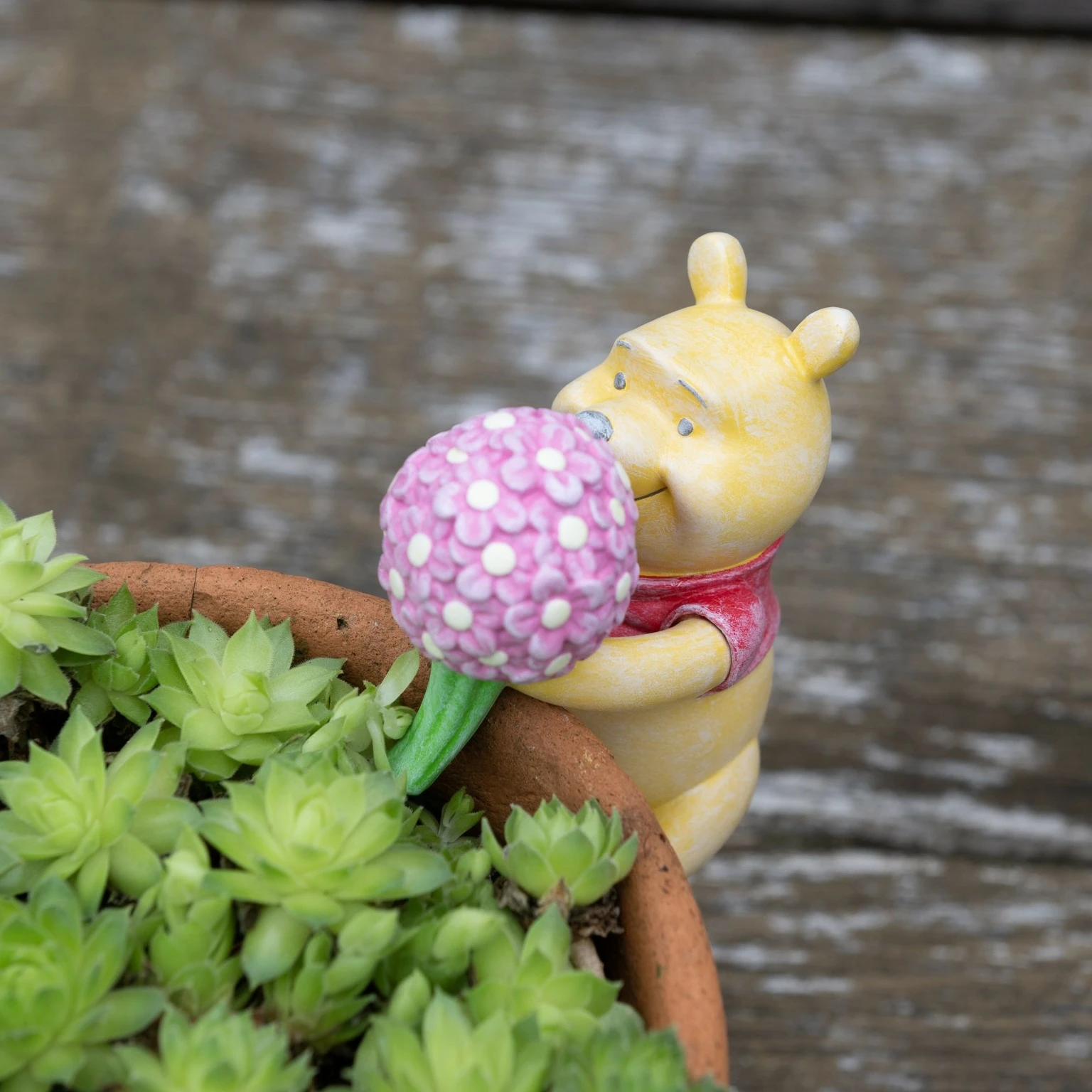 Winnie The Pooh & Flowers Pot Buddy - Cowell's Garden Centre | Woolsington