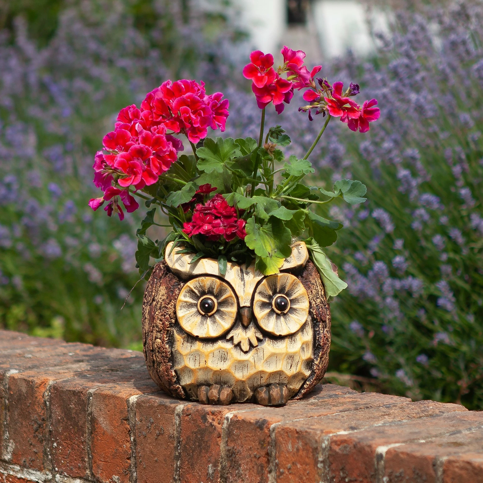 Woodland Owl Planter - Cowell's Garden Centre | Woolsington
