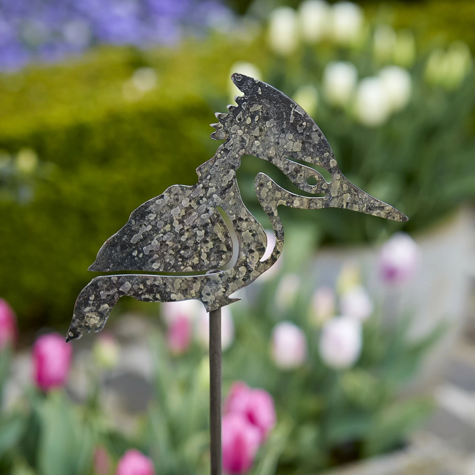 Woody Woodpecker Plant Stake - Cowell's Garden Centre | Woolsington