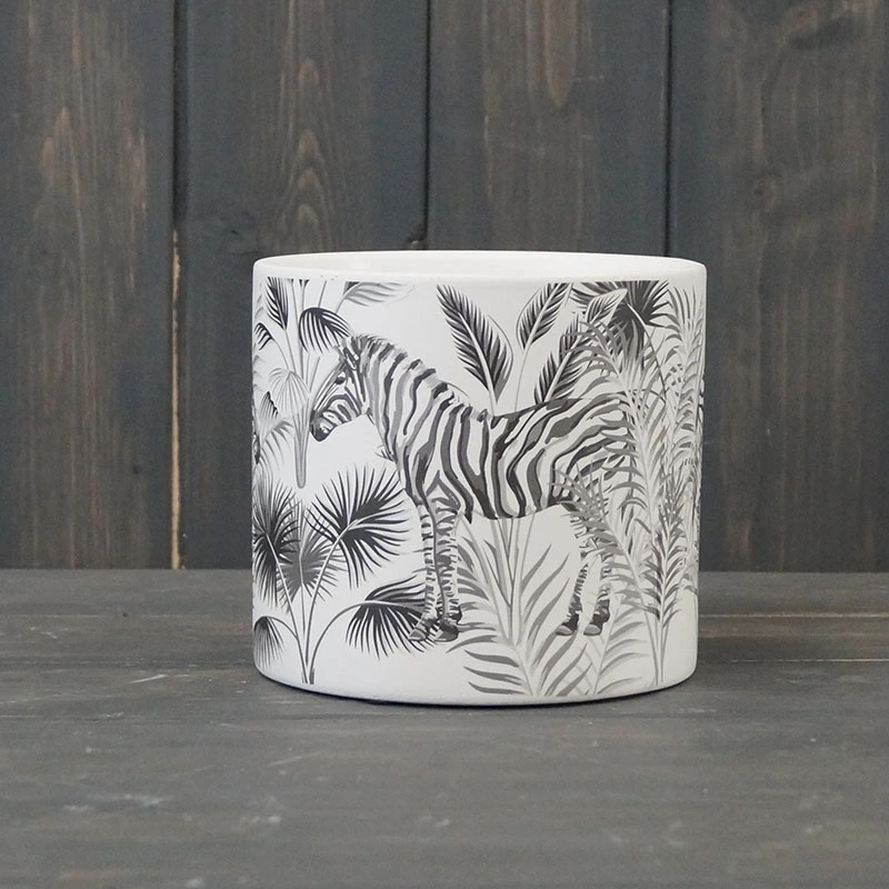 Zebra Print Pot Ø12cm - Cowell's Garden Centre | Woolsington