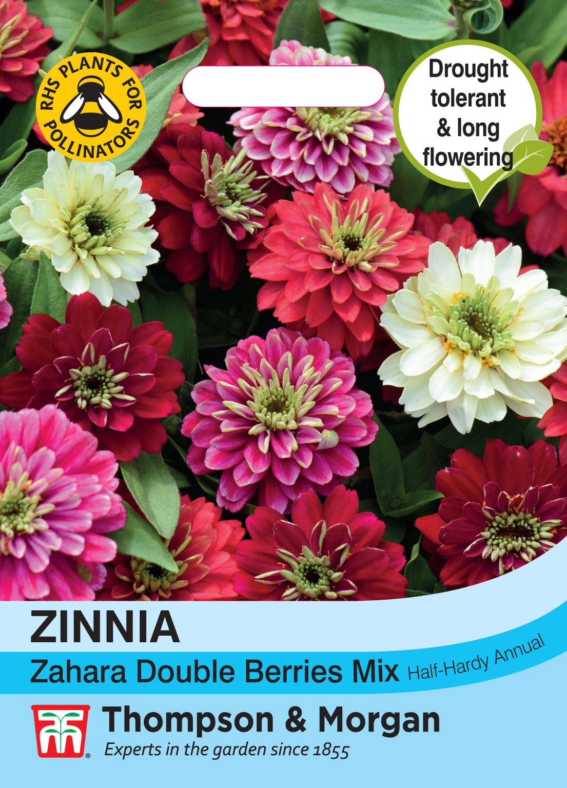 Zinnia Zahara Double Berries Mix - Cowell's Garden Centre | Woolsington